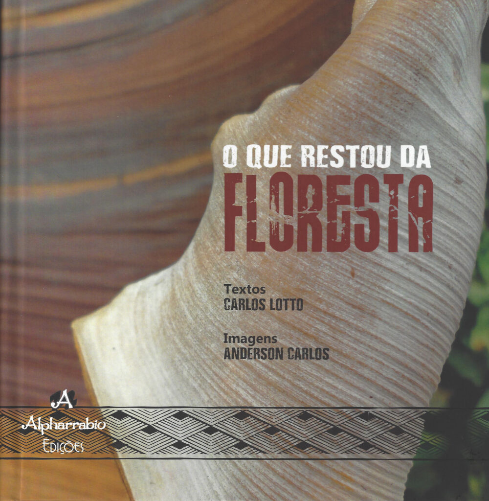 O que restou da floresta - Alpharrabio O que restou da floresta - Alpharrabio